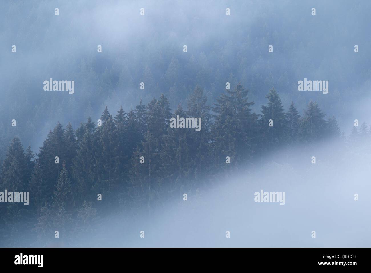 National park of Velka Fatra in northern Slovakia Stock Photo - Alamy