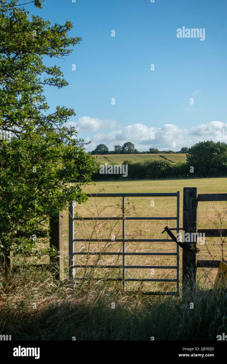 Corn field gate hi-res stock photography and images - Alamy