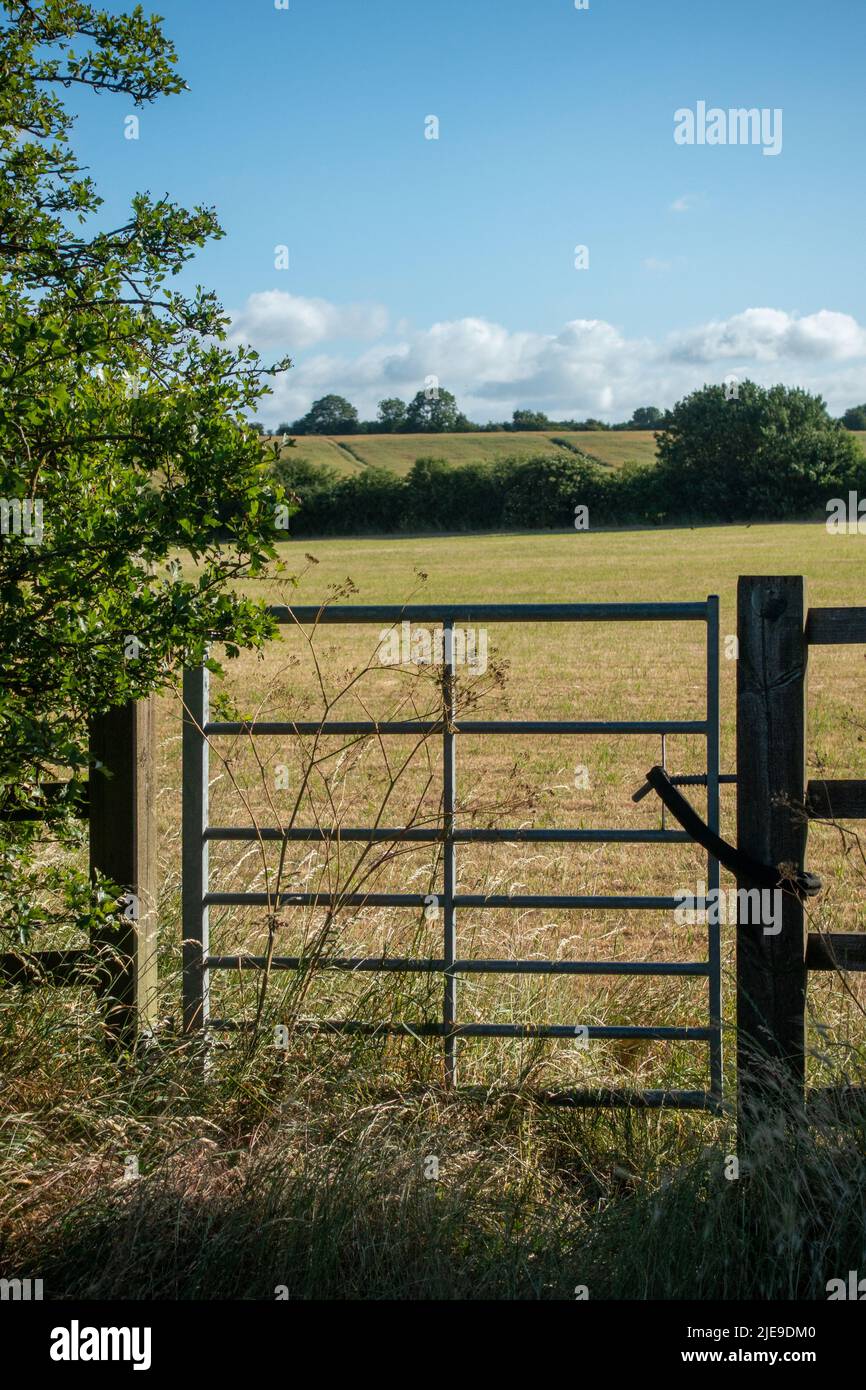 Corn field gate hi-res stock photography and images - Alamy