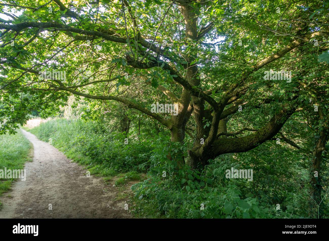 Anston hi-res stock photography and images - Alamy