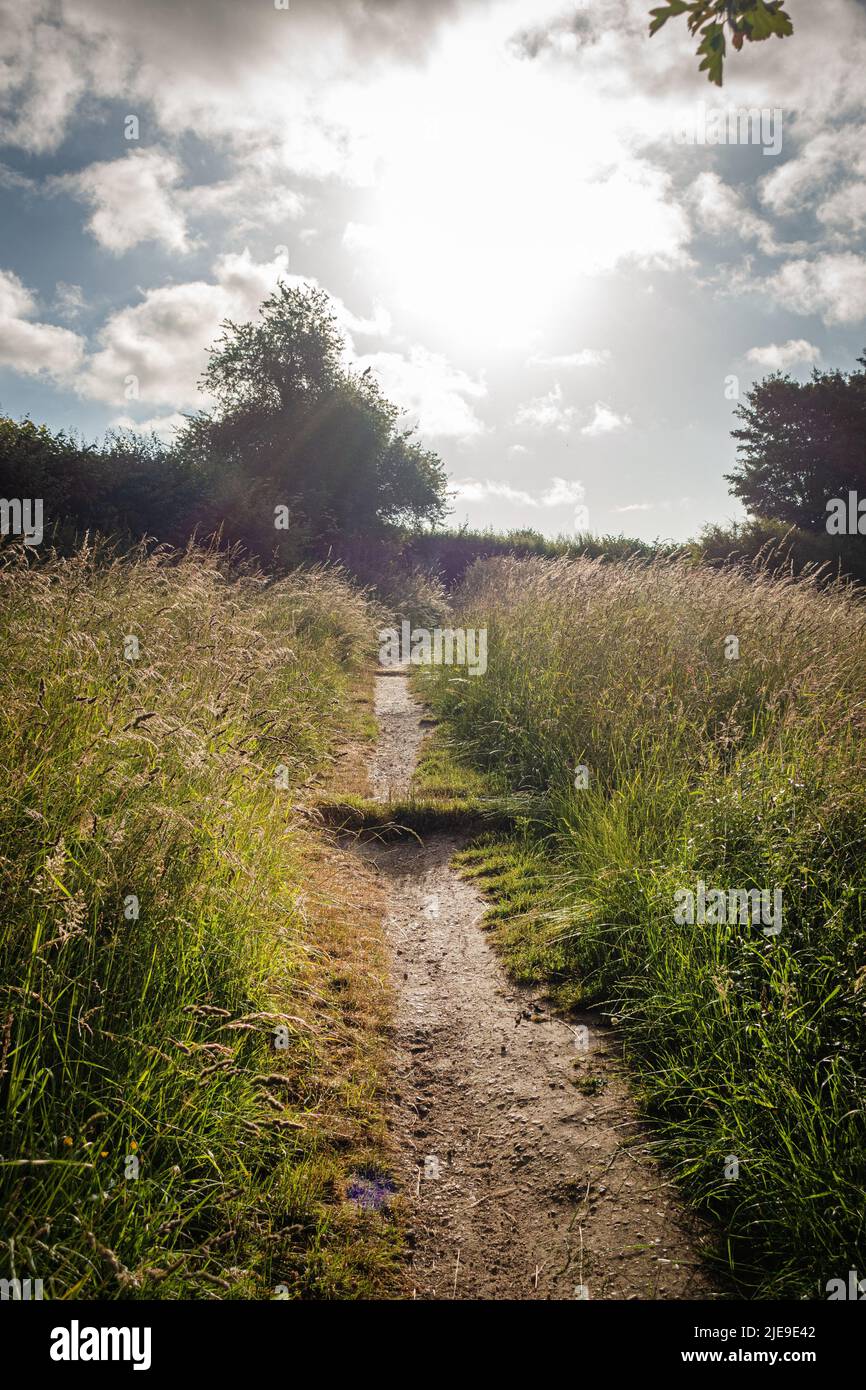 Pathway through the woods at Anston Stones, Anston, Sheffield Stock ...