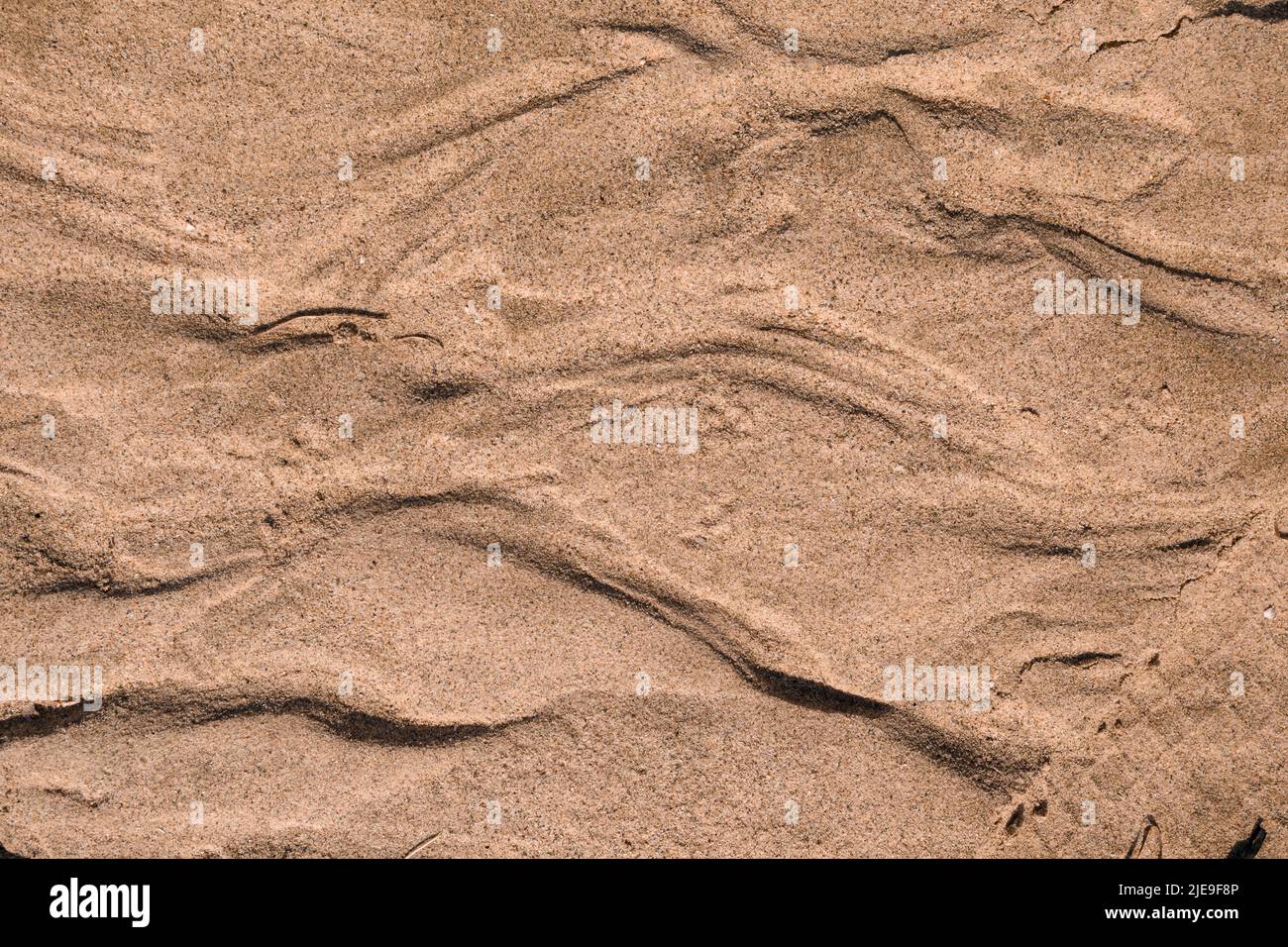 Top view of a sea sand. Background, texture, summer vibes Stock Photo ...