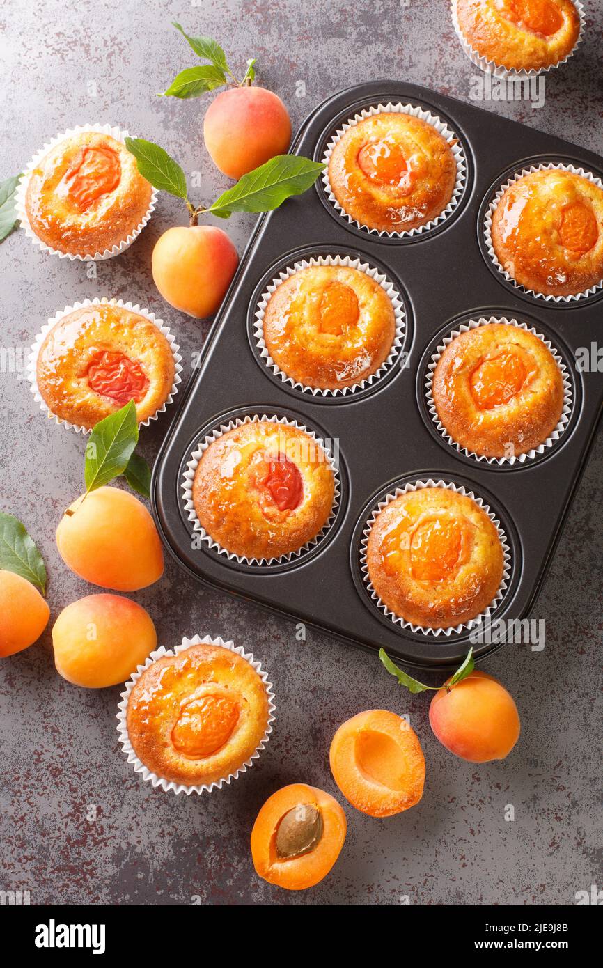 Muffins with fresh apricots close-up in a muffin pan on the table ...