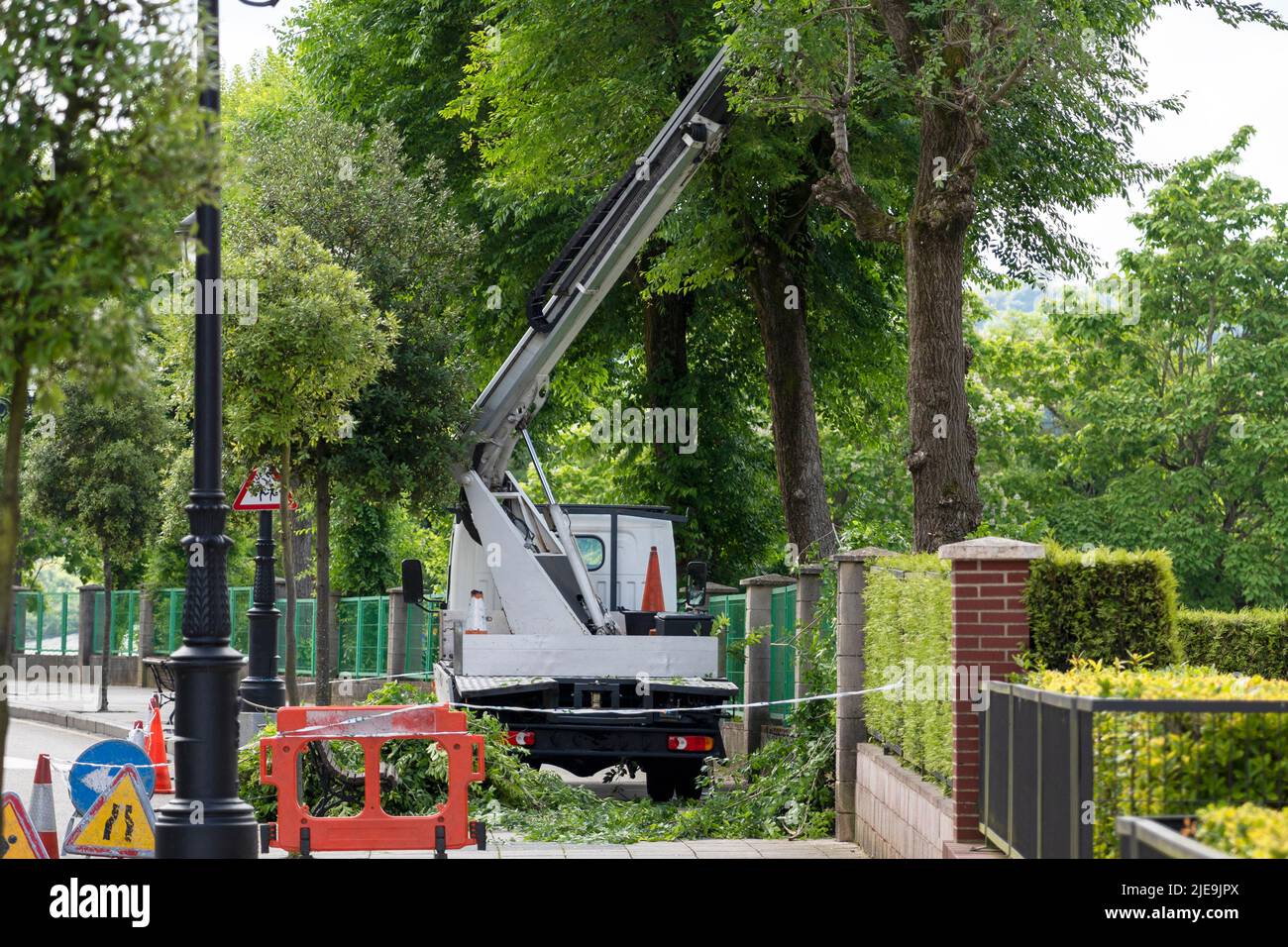 Seasonal tree pruning with a lifting work platform of hydraulic car ...