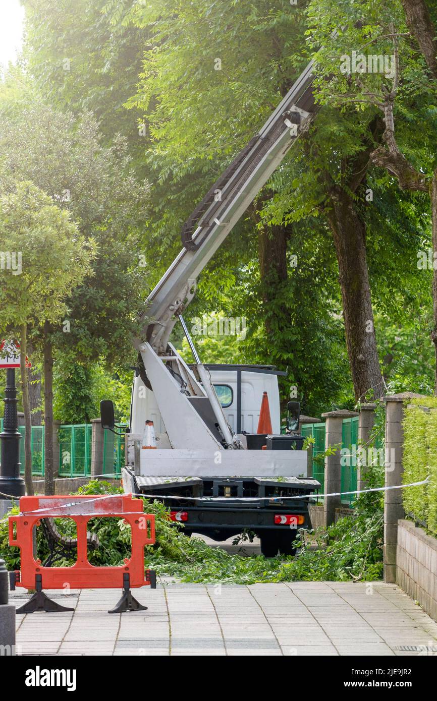 Seasonal tree pruning with a lifting work platform of hydraulic car ...
