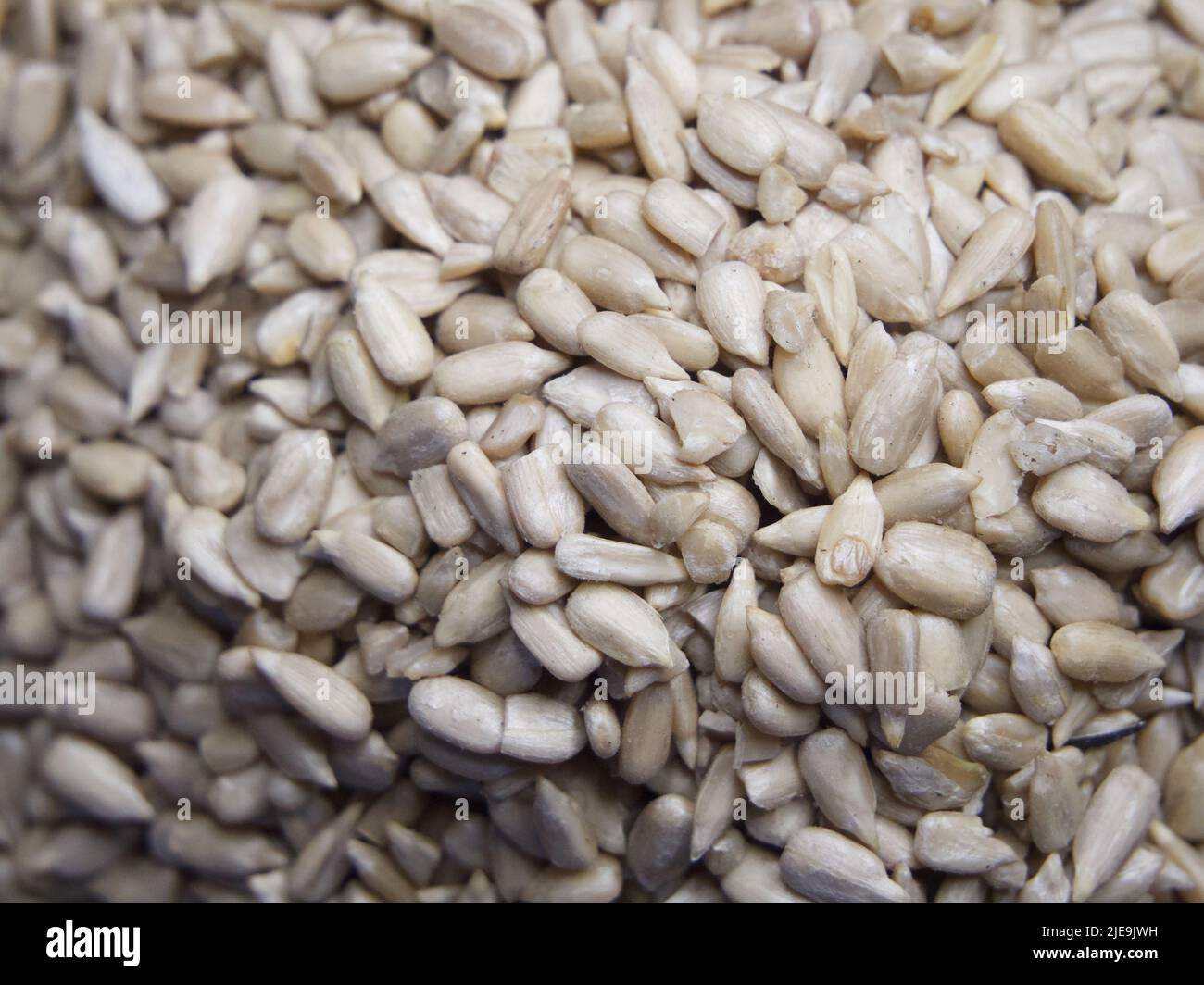 Lots of peeled sunflower seeds close-up. Heap of seeds, full frame ...