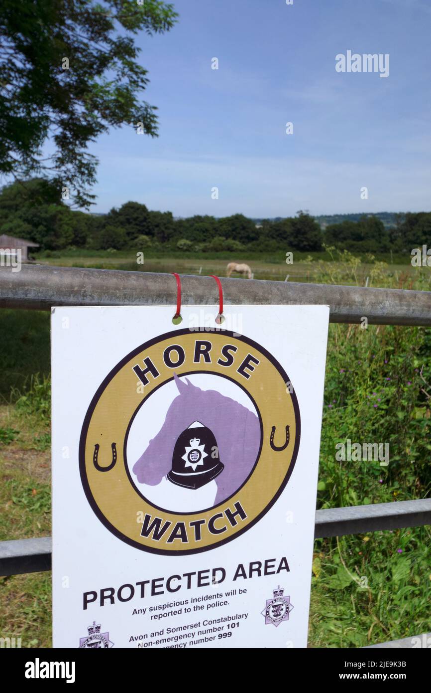 Horse watch sign hi-res stock photography and images - Alamy