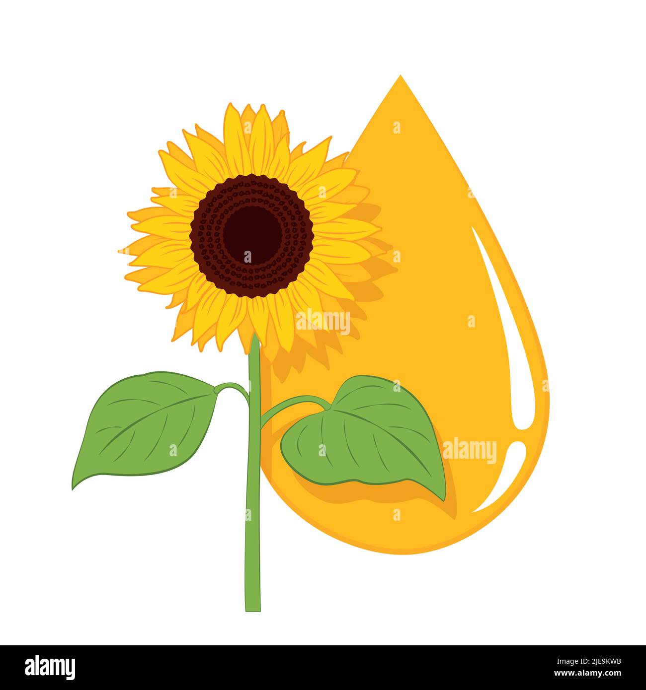 Yellow drop isolated on Stock Vector Images - Alamy