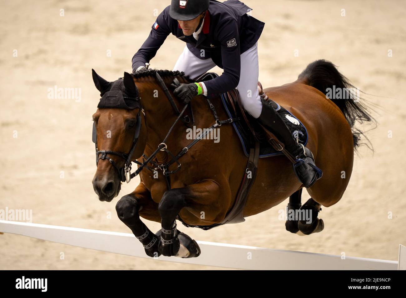 ROTTERDAM - Kevin Staut (France) in action during the Nations Cup ...