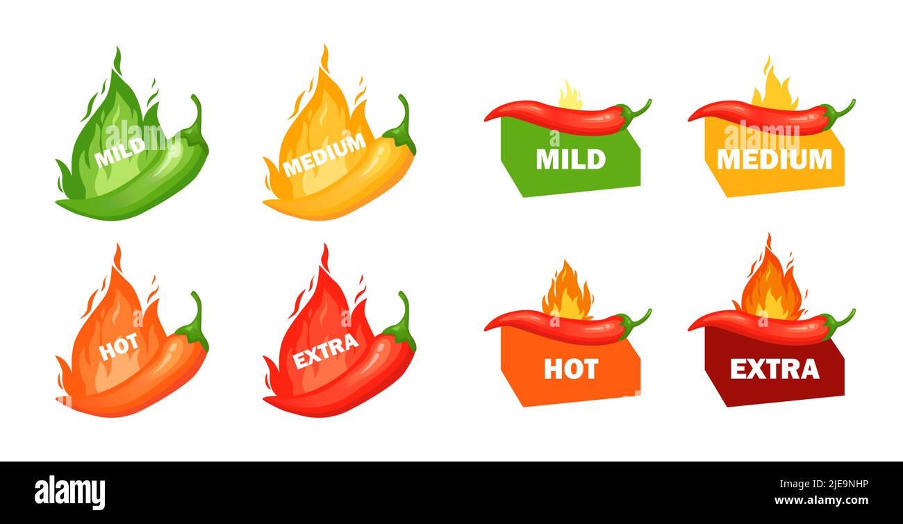 Hot spicy level with flame pepper. Infographic design template with red ...