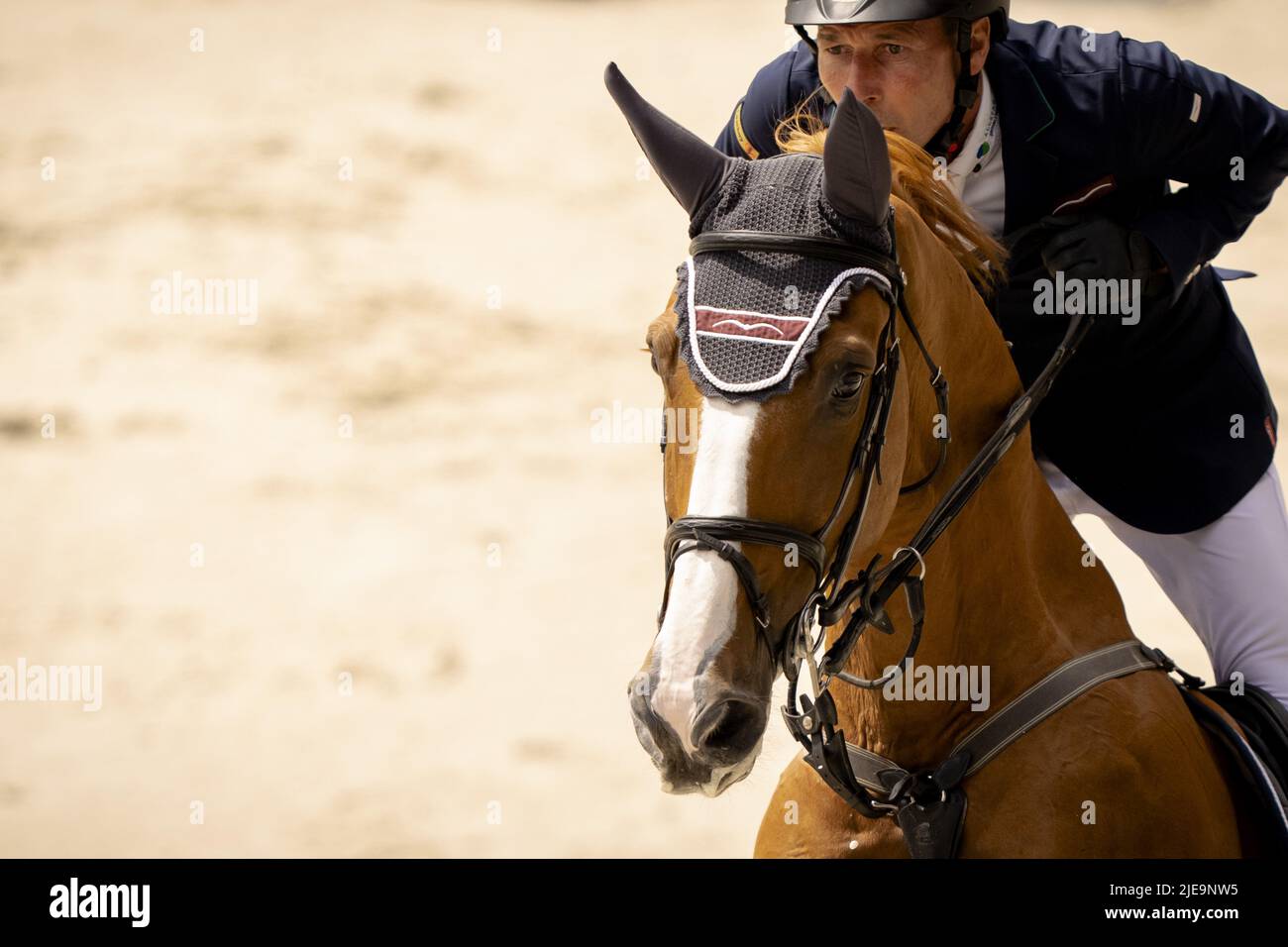 ROTTERDAM - Hans-Dieter Dreher (Germany) in action during the Nations ...