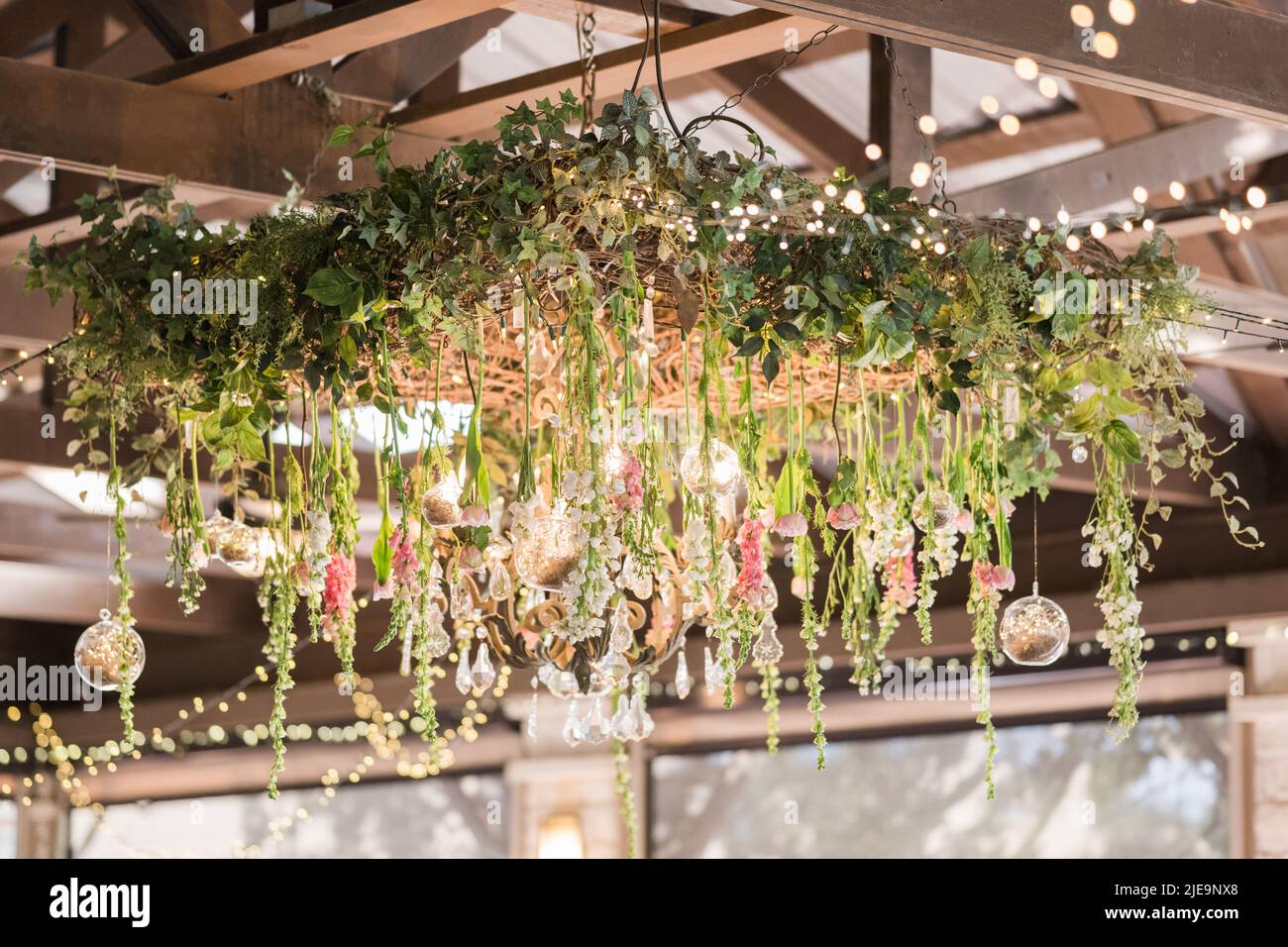 Florals Dripping from Ceiling Stock Photo - Alamy
