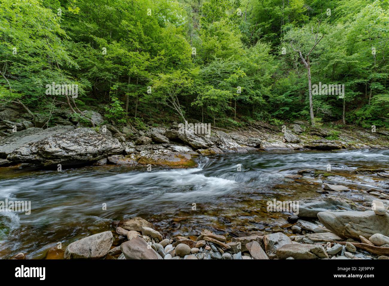A quiet stream scene in the Great Smoky Mountains National Park Stock Photo - Alamy