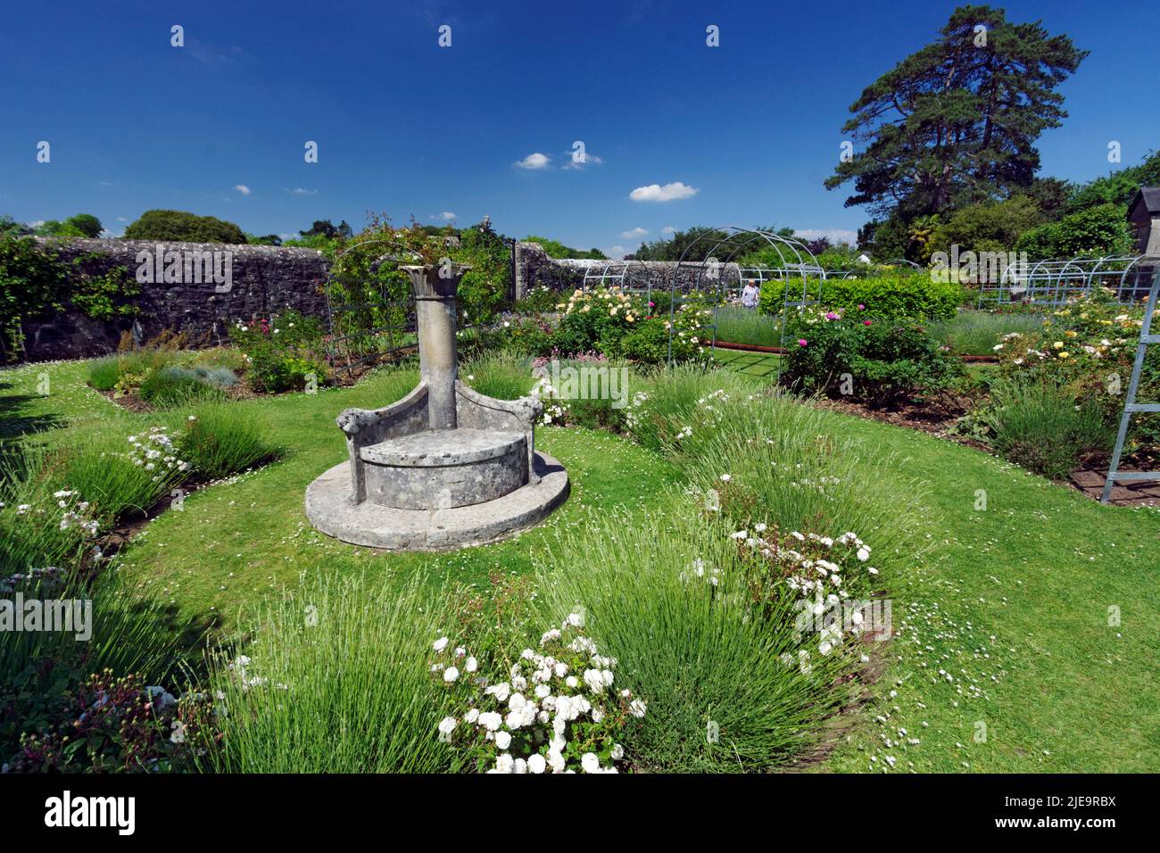 The rose garden st fagans museum the national history hi-res stock ...
