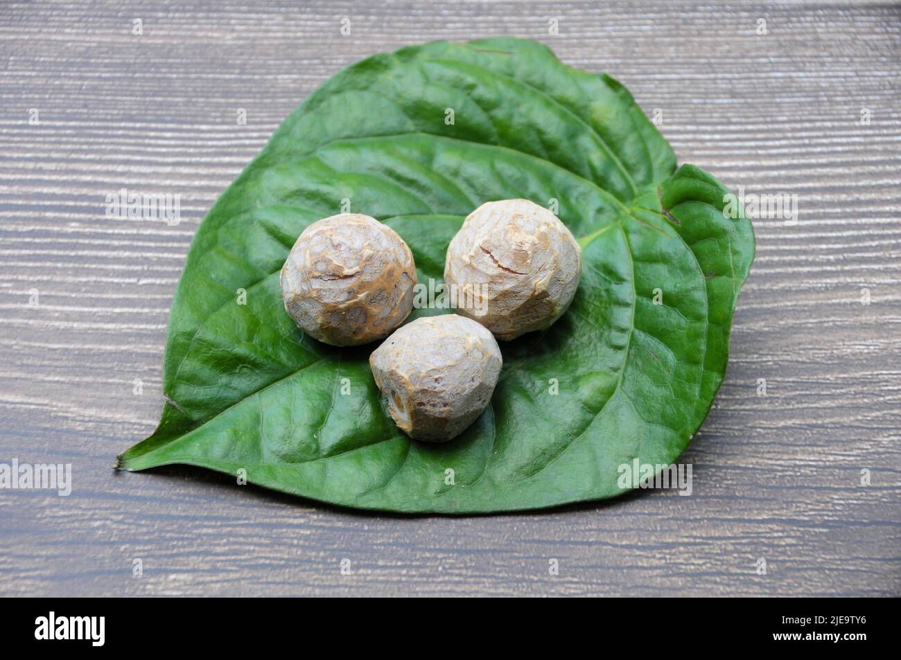 Betel Nut Leaf