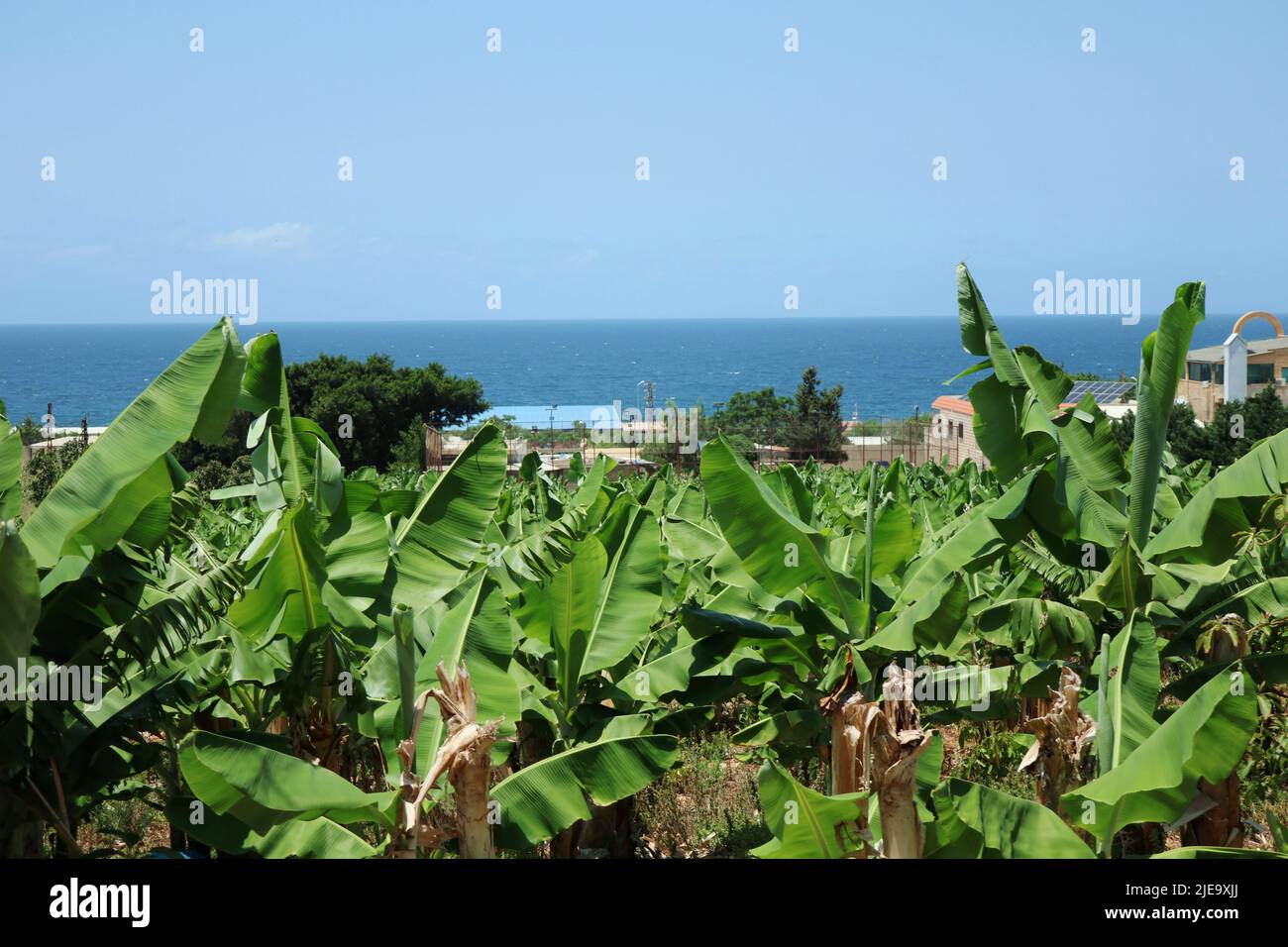 Karish gas field hi-res stock photography and images - Alamy