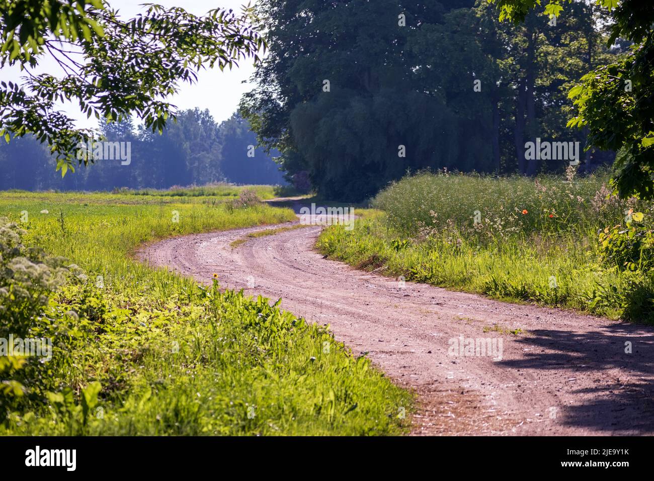 gravel path in the farmstead Stock Photo - Alamy