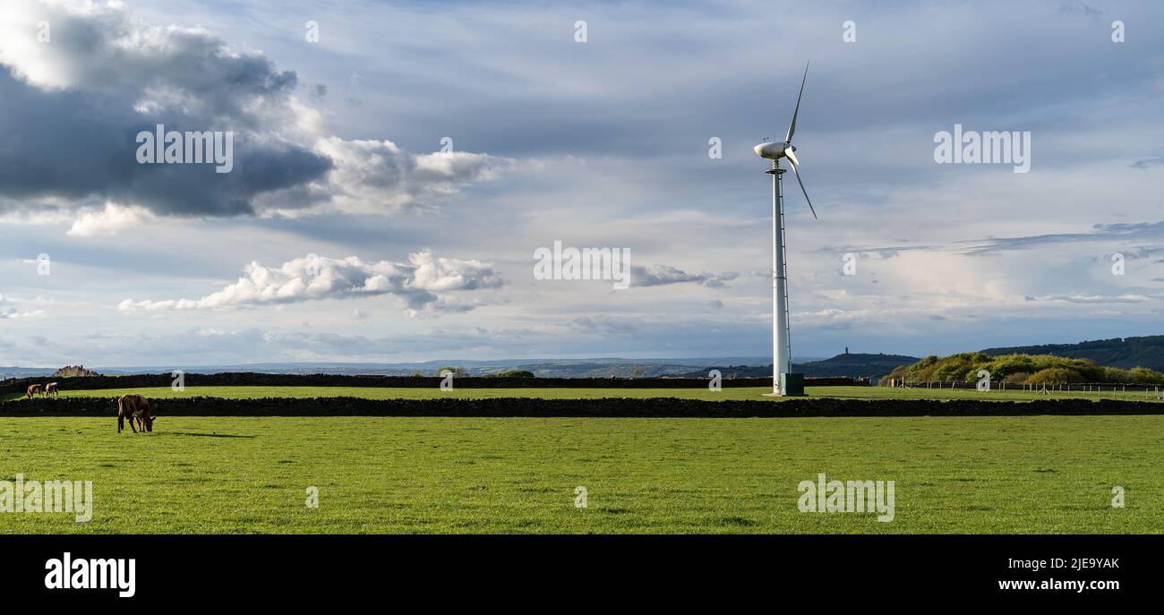 Shaley hi-res stock photography and images - Alamy