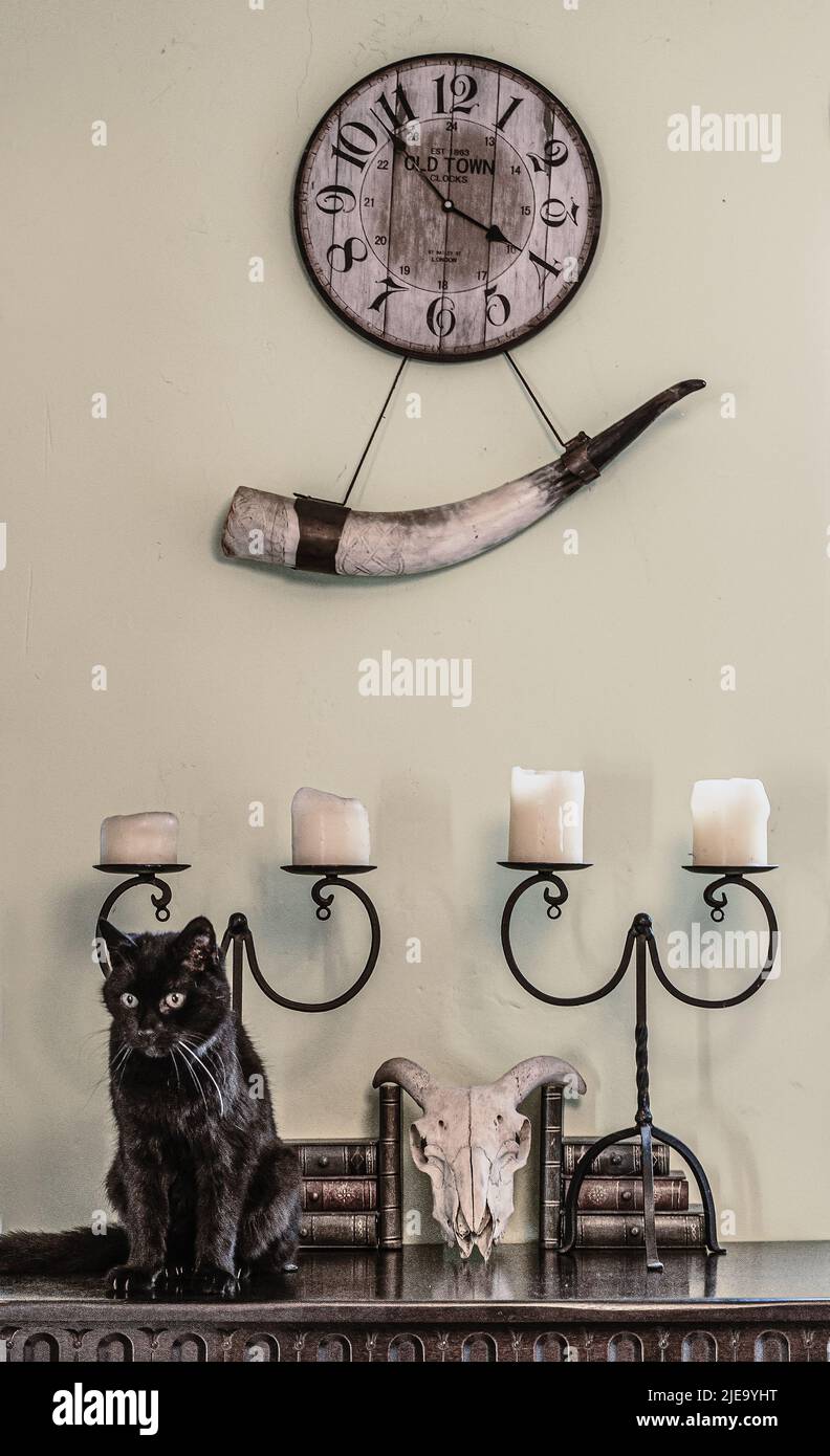 Familiar spirit hi-res stock photography and images - Alamy