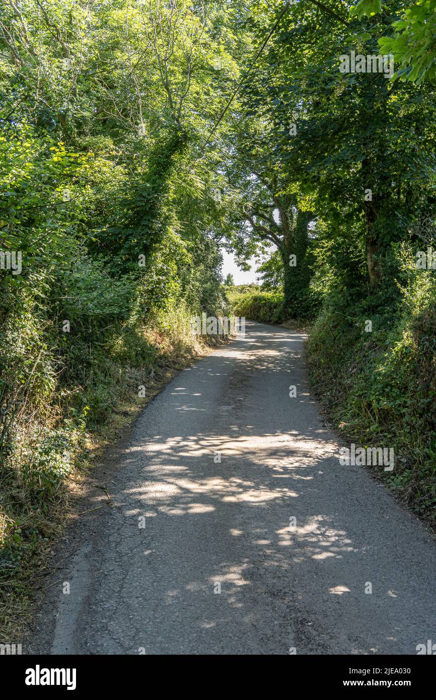 Bryn lane hi-res stock photography and images - Alamy