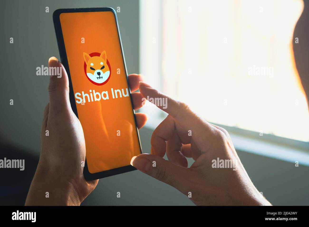 In this photo illustration, a woman holds a smartphone with the Shiba ...