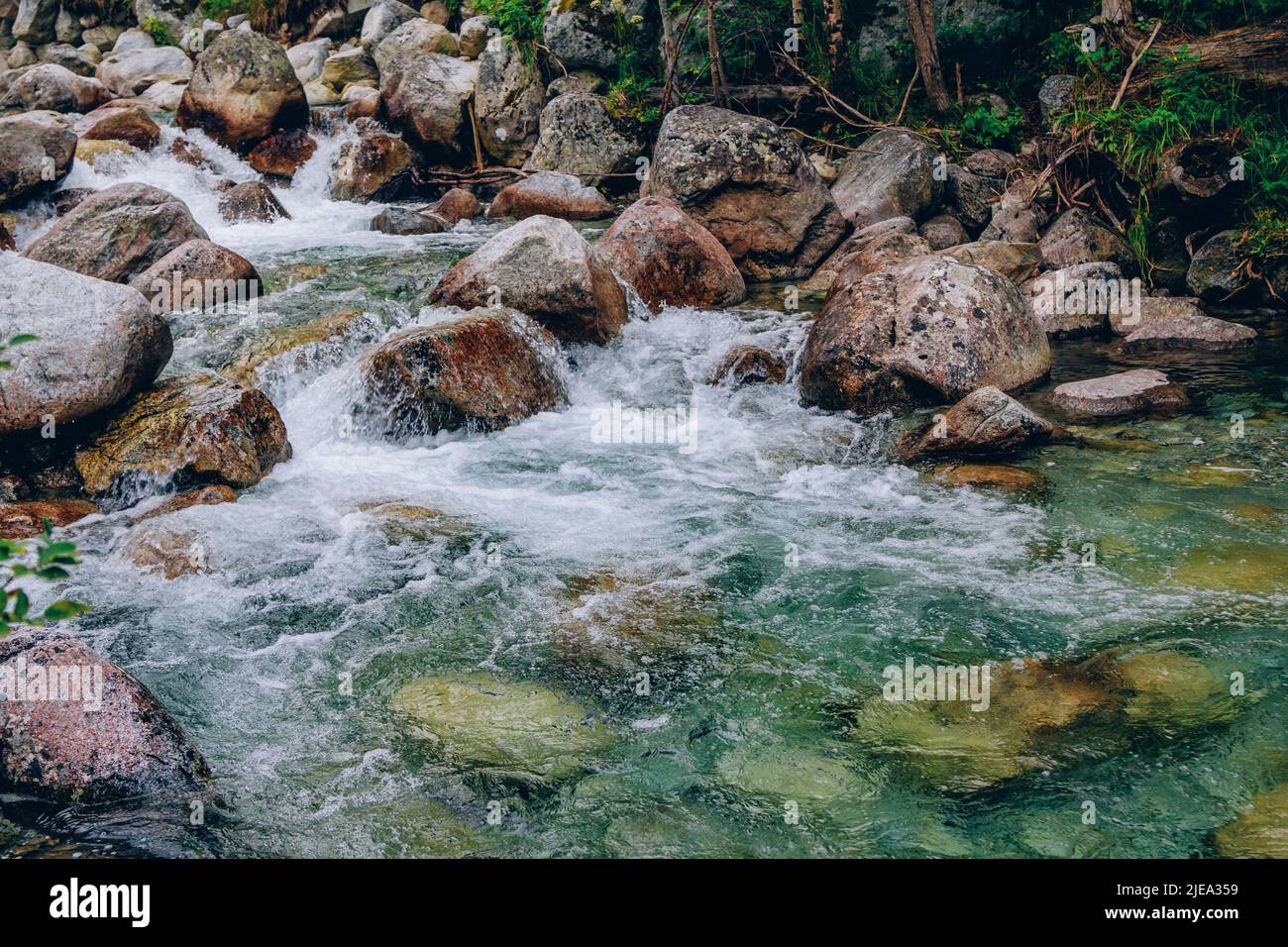 Scenic summer landscape - mountain river in a forest - crystal pure ...
