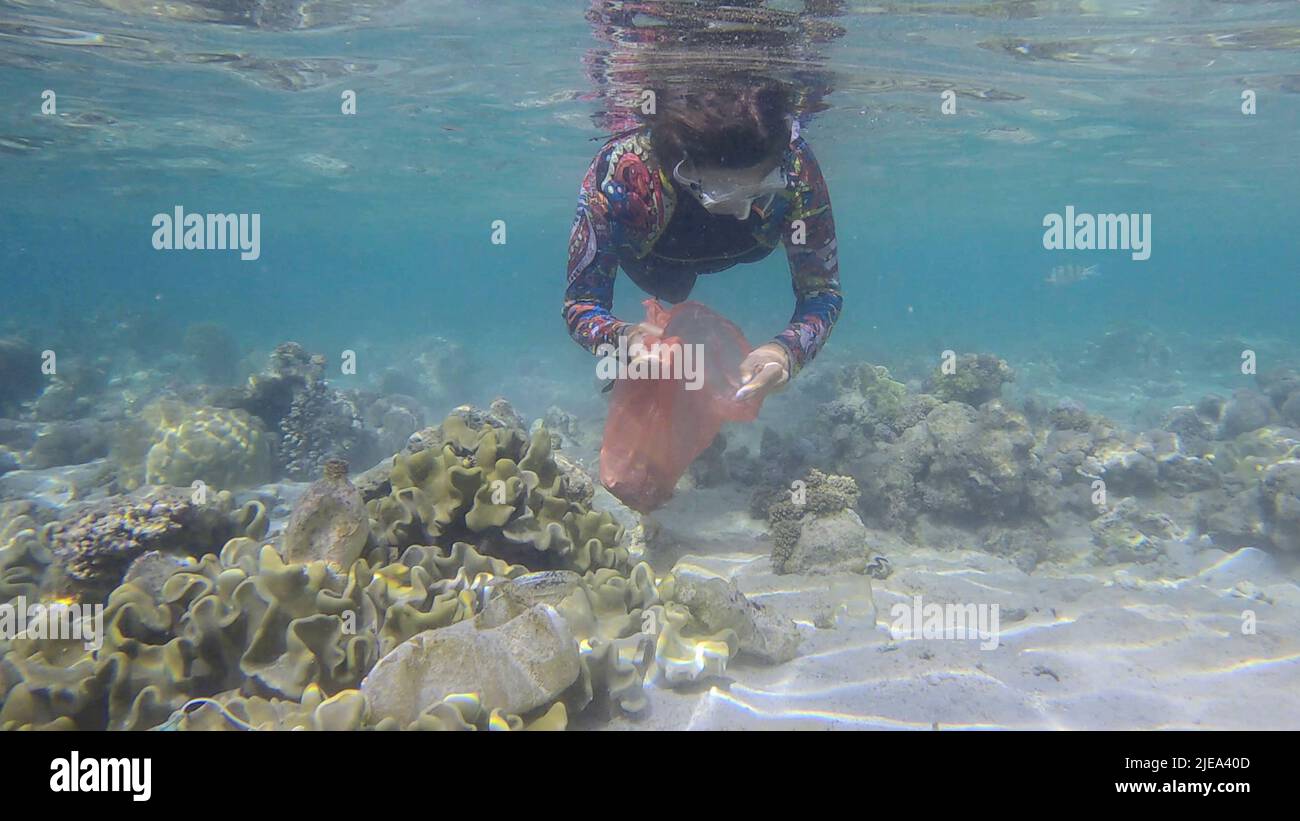 Red Sea, Egypt. 26th June, 2022. Woman in diving equipment swims and ...