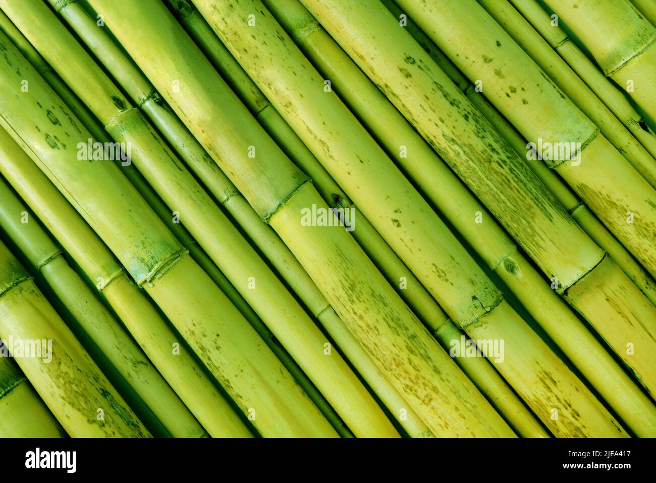 close up of the natural bamboo texture background Stock Photo - Alamy