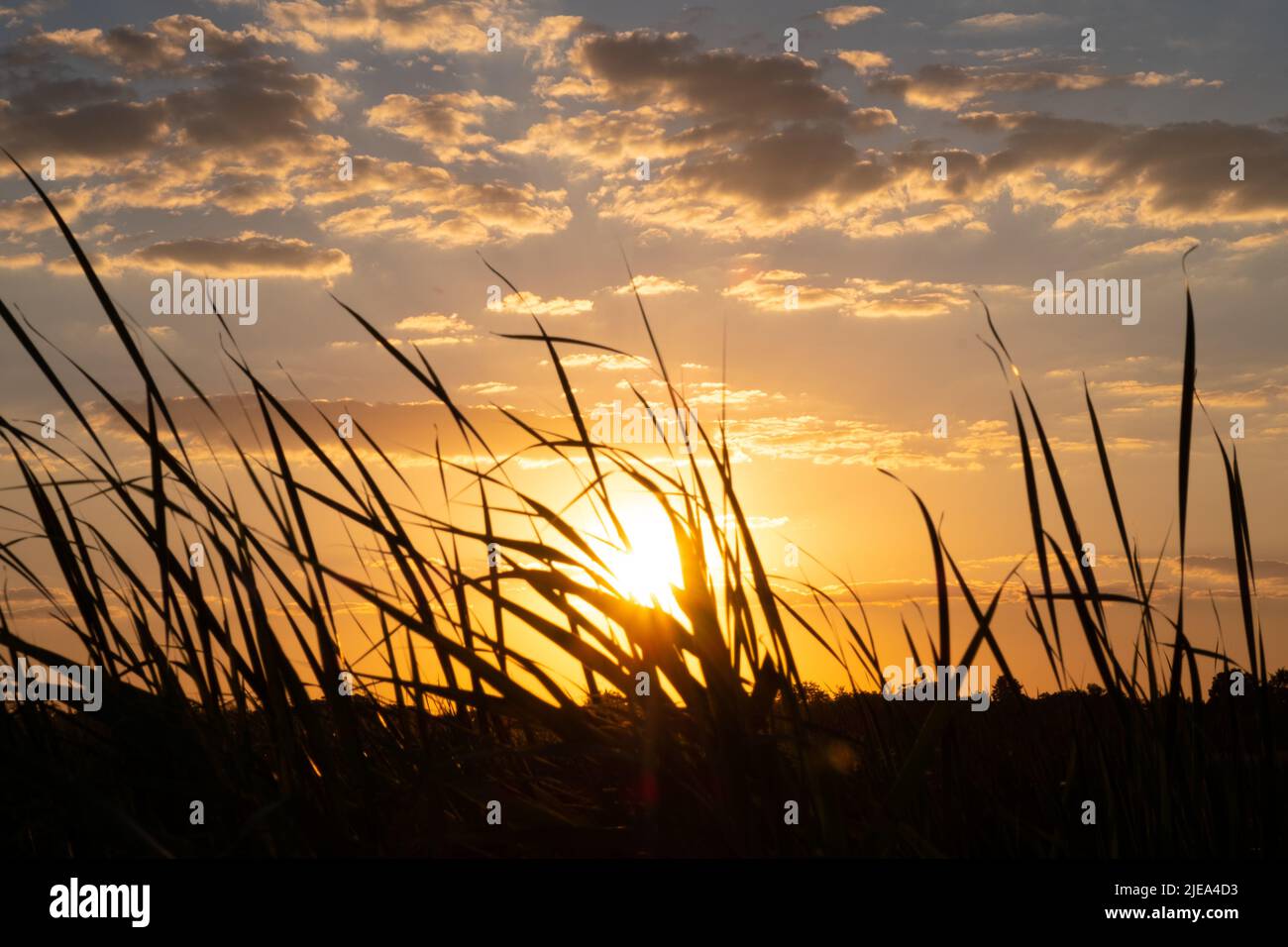 Summer atmosphere hi-res stock photography and images - Alamy
