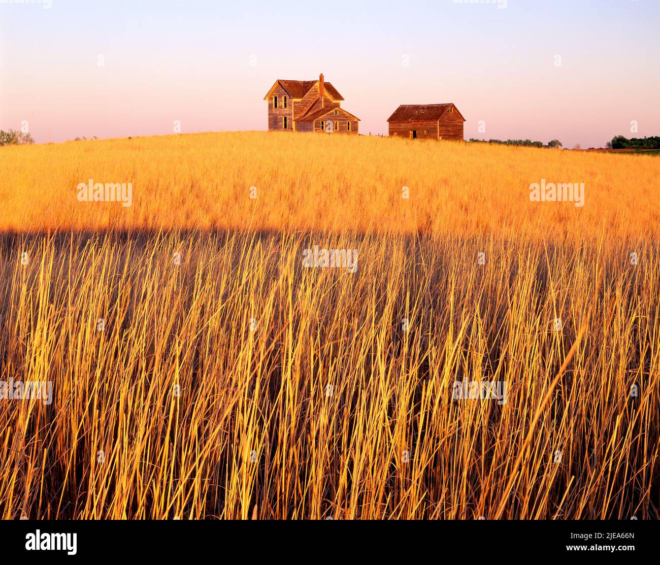 Old farmhouse on rise, rural Lincoln County, Minnesota, USA, by Gary A ...