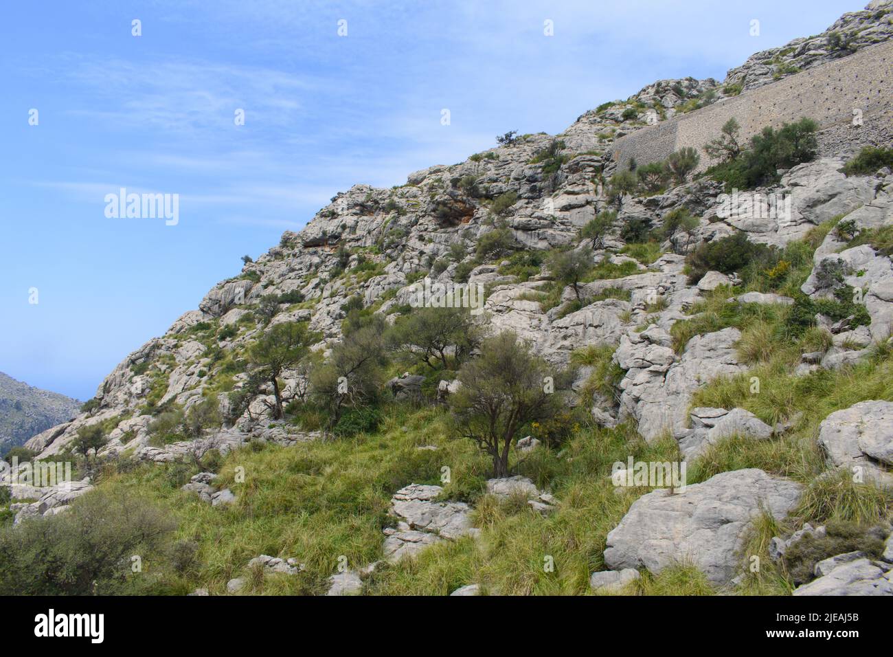 Rocky cliffs in Cap de Formentor, Mallorca, Spain Stock Photo - Alamy