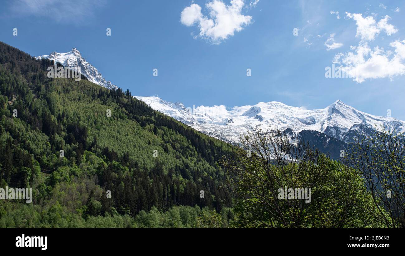Mountain landscape with forest and Mont Blanc behind Stock Photo - Alamy