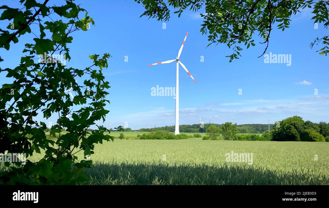 A photo of a wind turbine in nature Stock Photo - Alamy