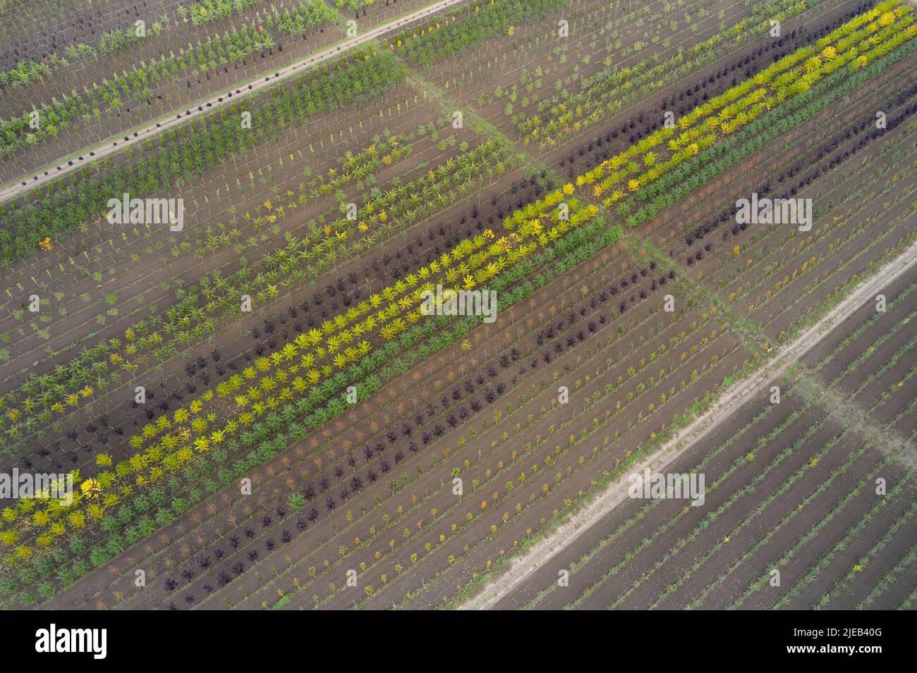Outdoor nursery hi-res stock photography and images - Alamy
