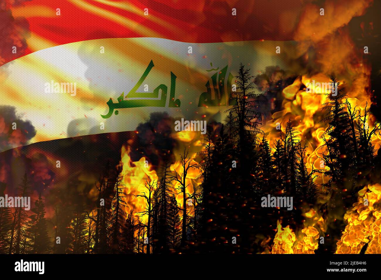 Iraq Flag Burning