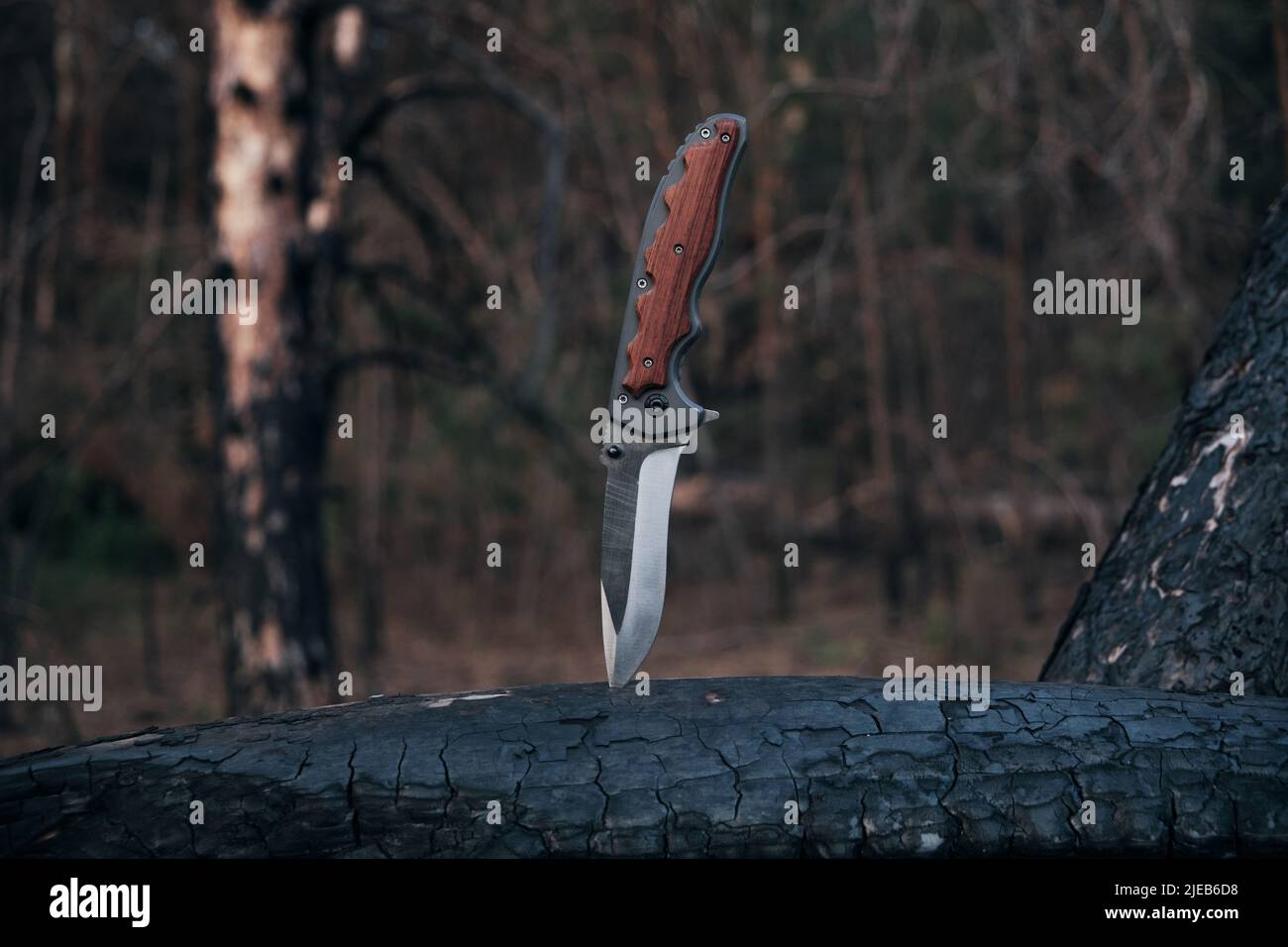 Tactical knife for survival and protection difficult conditions stuck ...