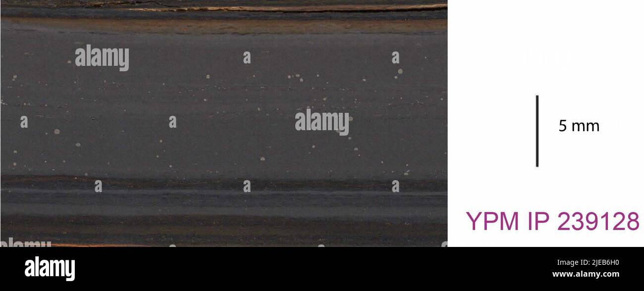 Lithologic hi-res stock photography and images - Alamy