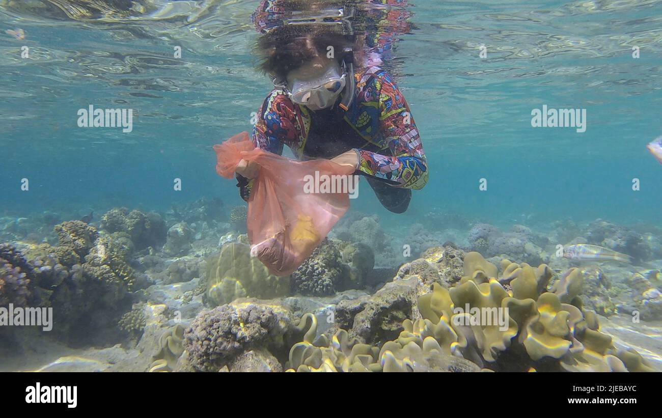 Red Sea, Egypt. 26th June, 2022. Woman in diving equipment swims and ...
