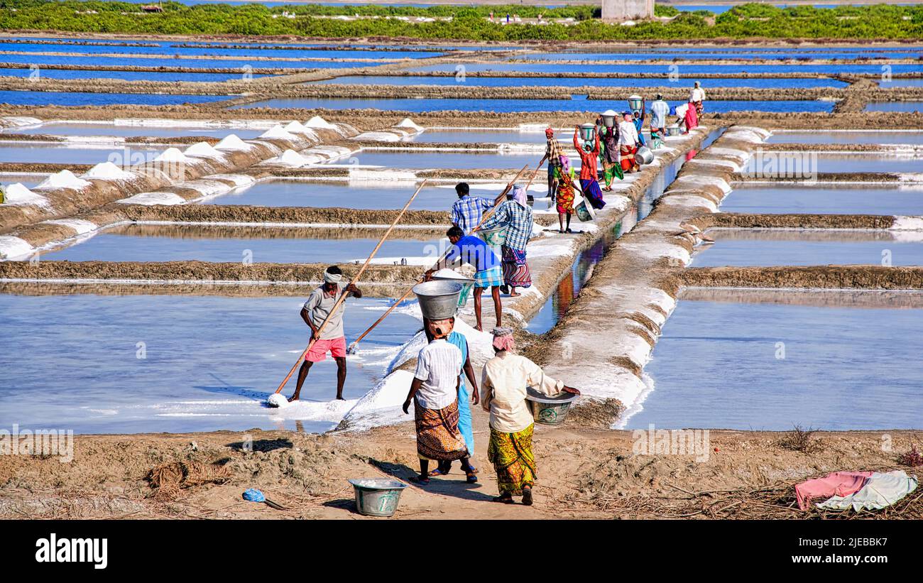 Tamil workers hi-res stock photography and images - Alamy