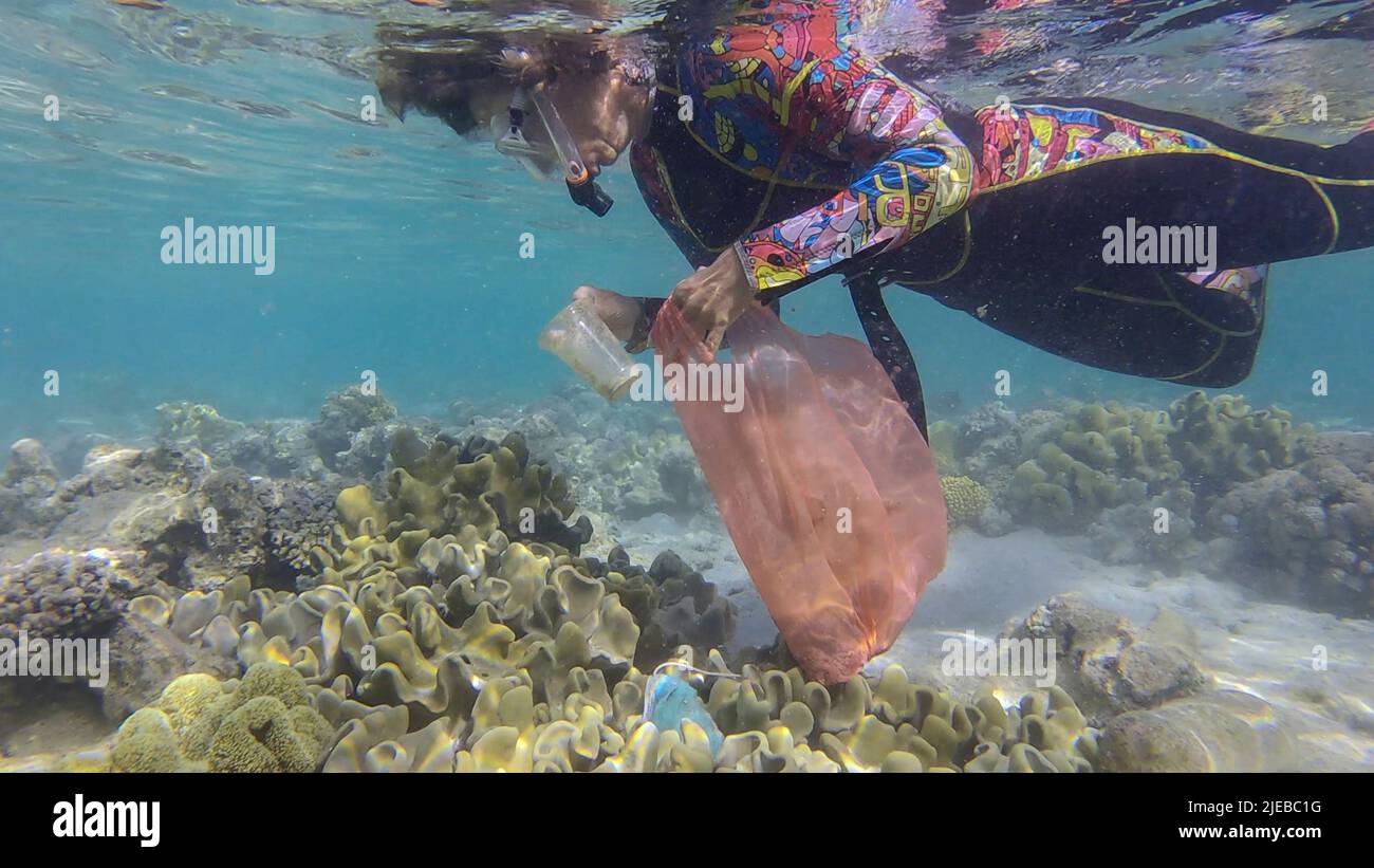 Red Sea, Egypt. 26th June, 2022. Woman in diving equipment swims and ...
