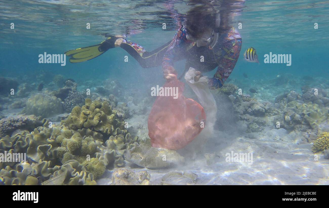 Red Sea, Egypt. 26th June, 2022. Woman in diving equipment swims and ...