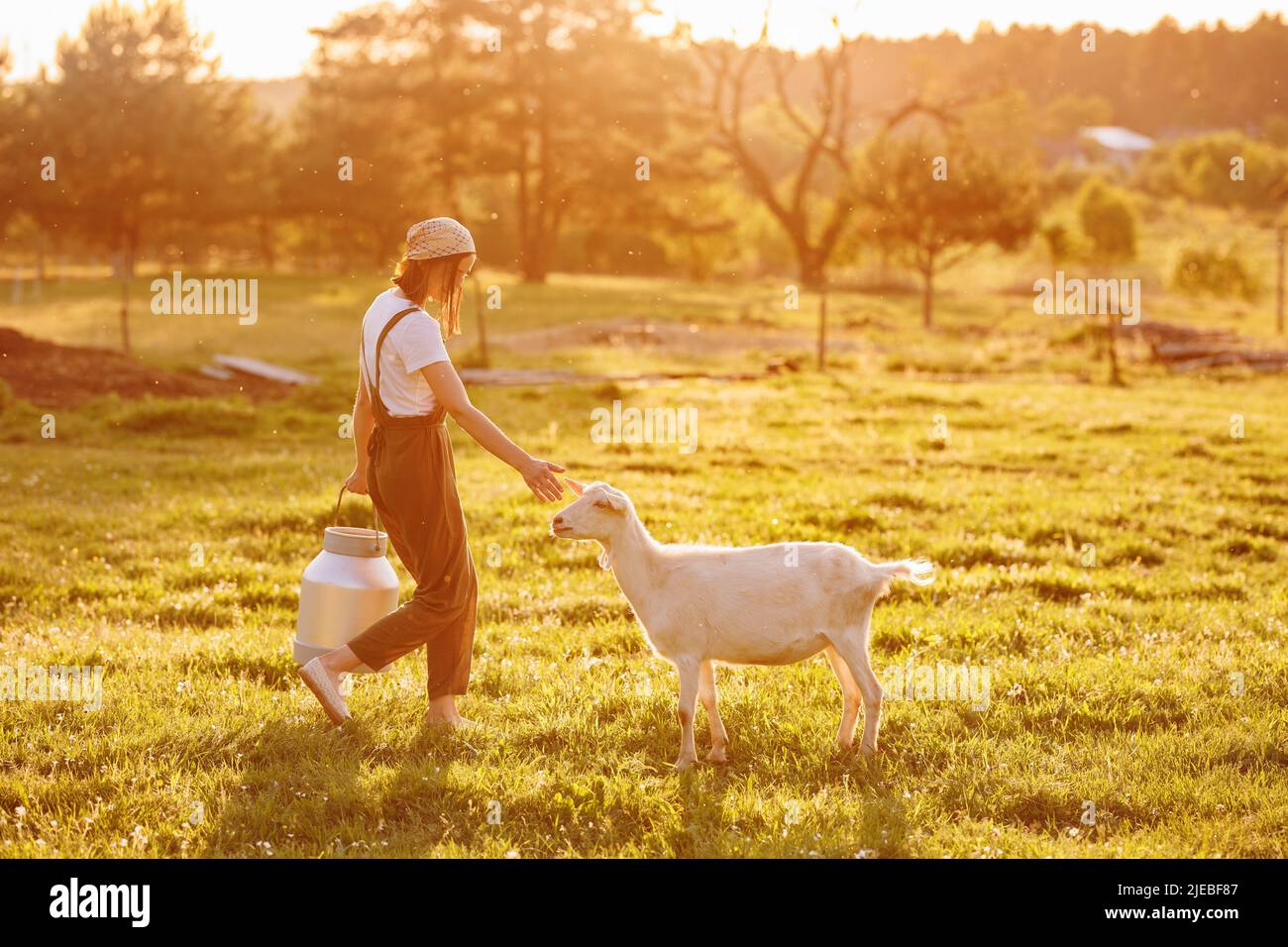 Female farmer taking care of cute goats. Young woman getting pet ...
