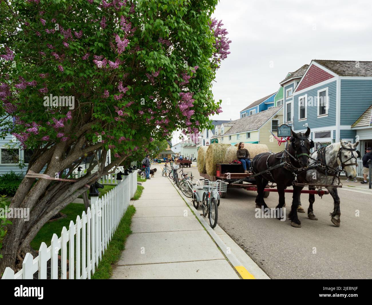 Horses pulling carriage loaded with haystack on street of Mackinac ...