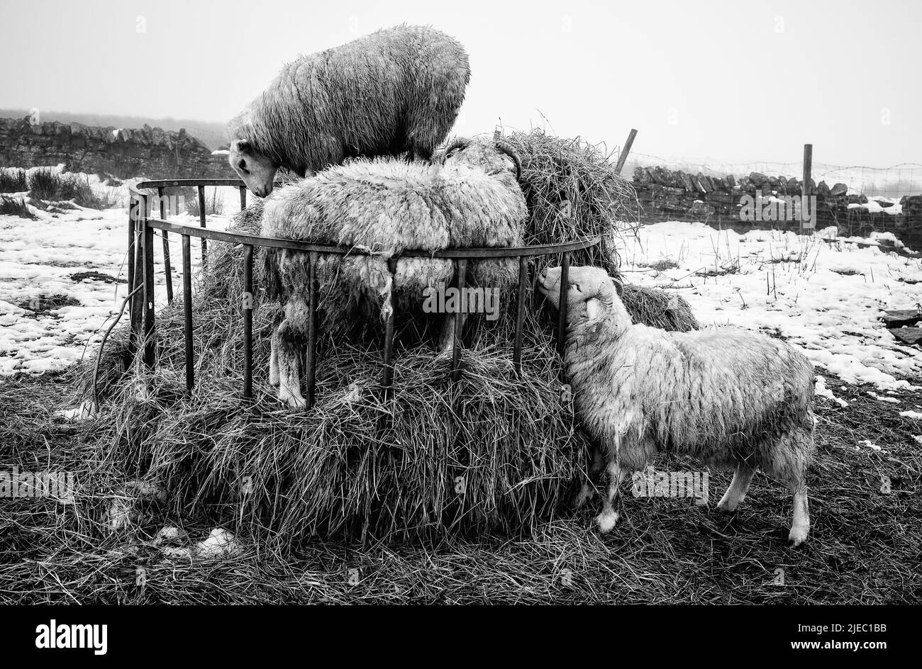 Reservoir feeder hi-res stock photography and images - Alamy