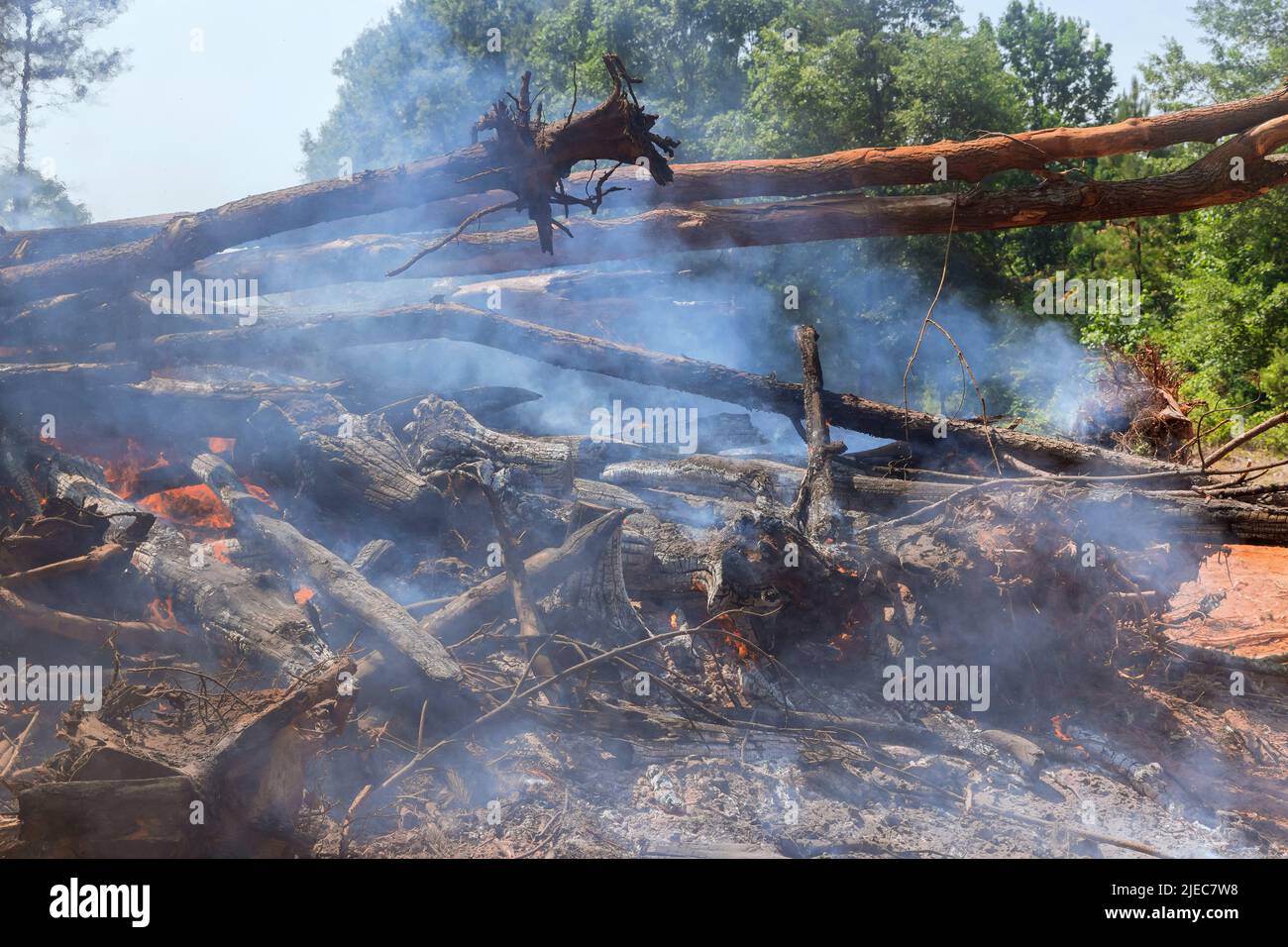 Smoke fire wildfire trees hi-res stock photography and images - Alamy