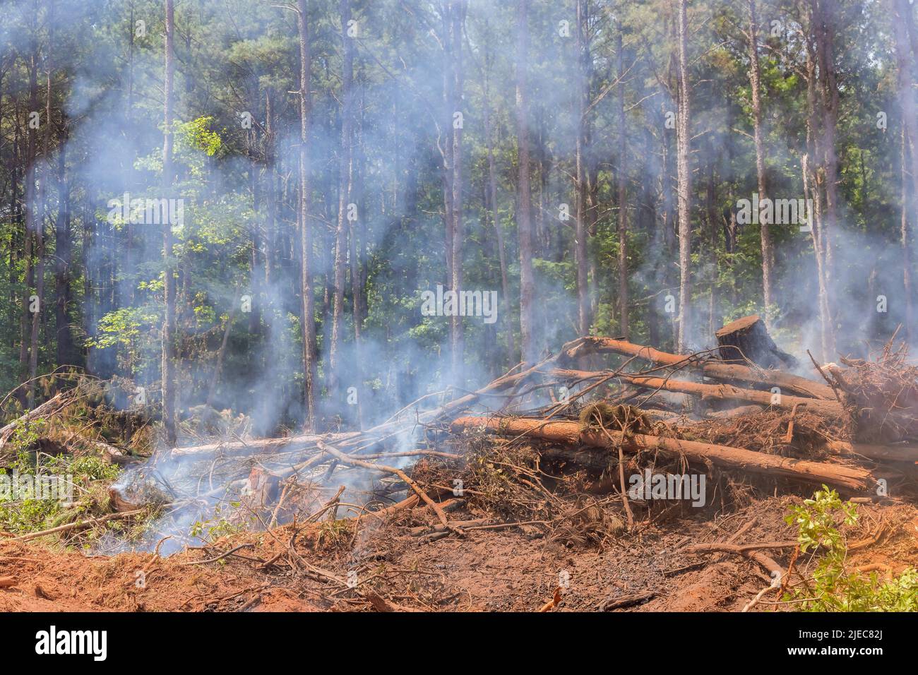 Ecological hazard hi-res stock photography and images - Alamy