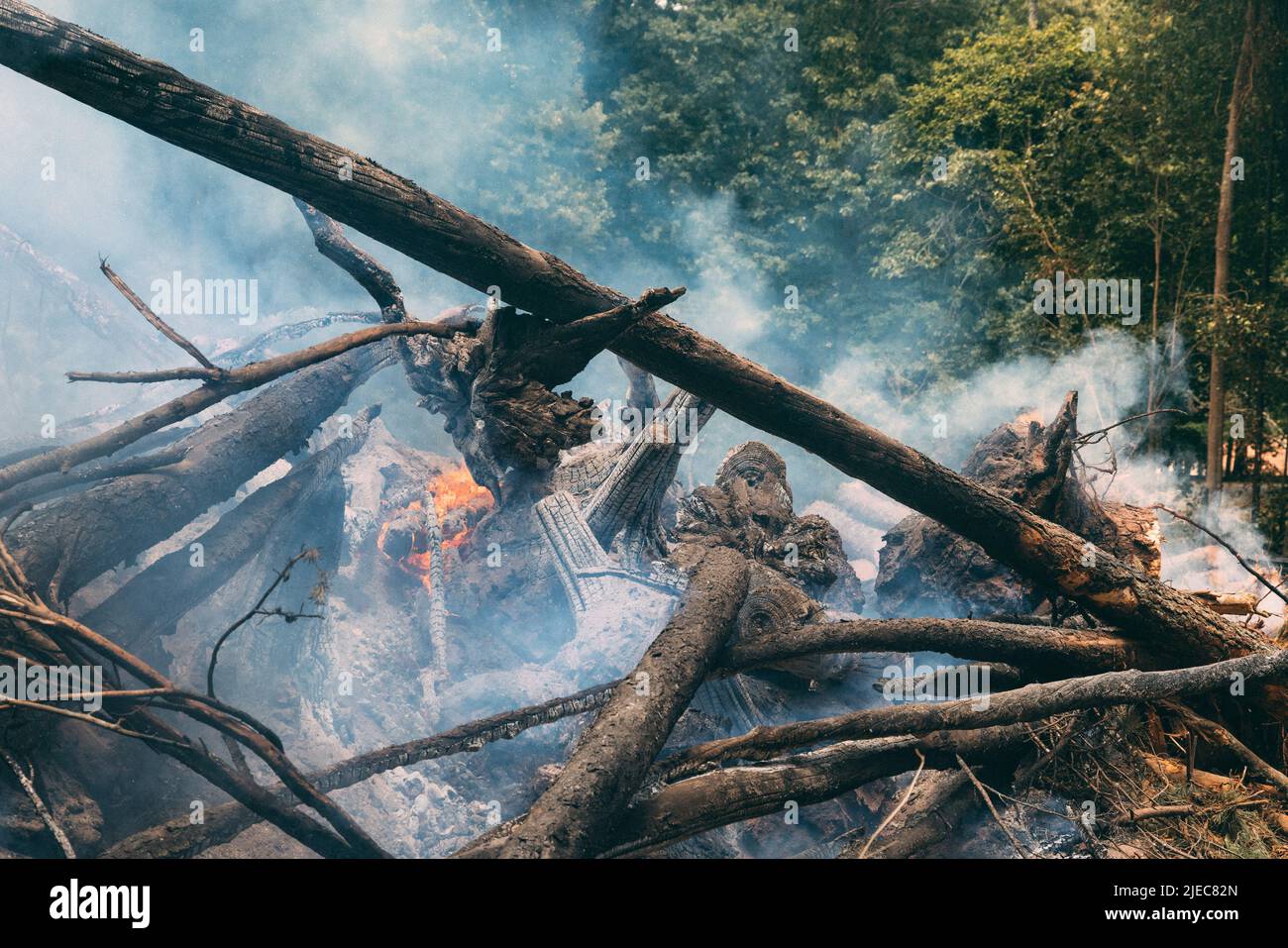 When a wildfire broke out, fallen trees were burned on the ground with ...