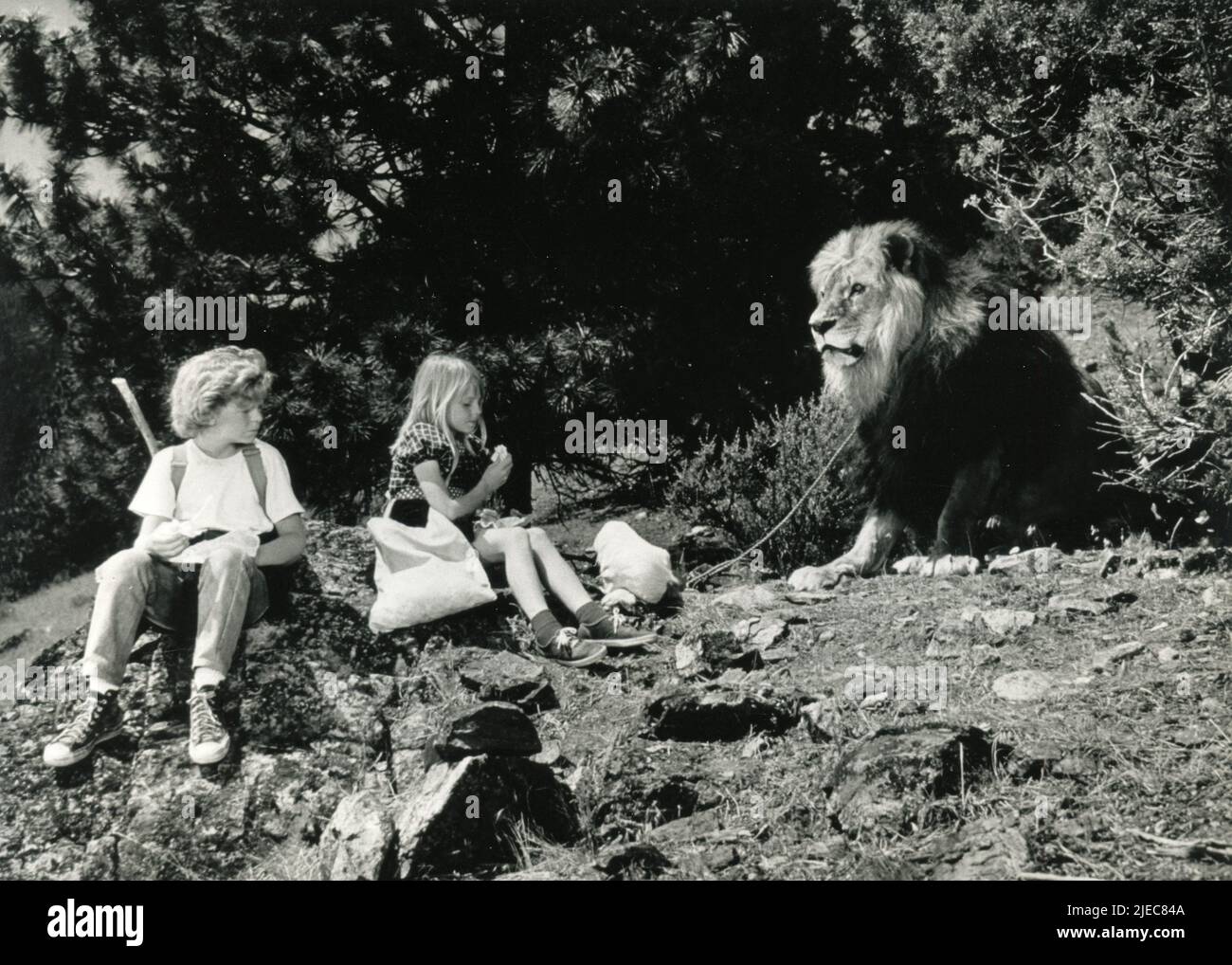 Napoleon and samantha jodie foster hi-res stock photography and images ...