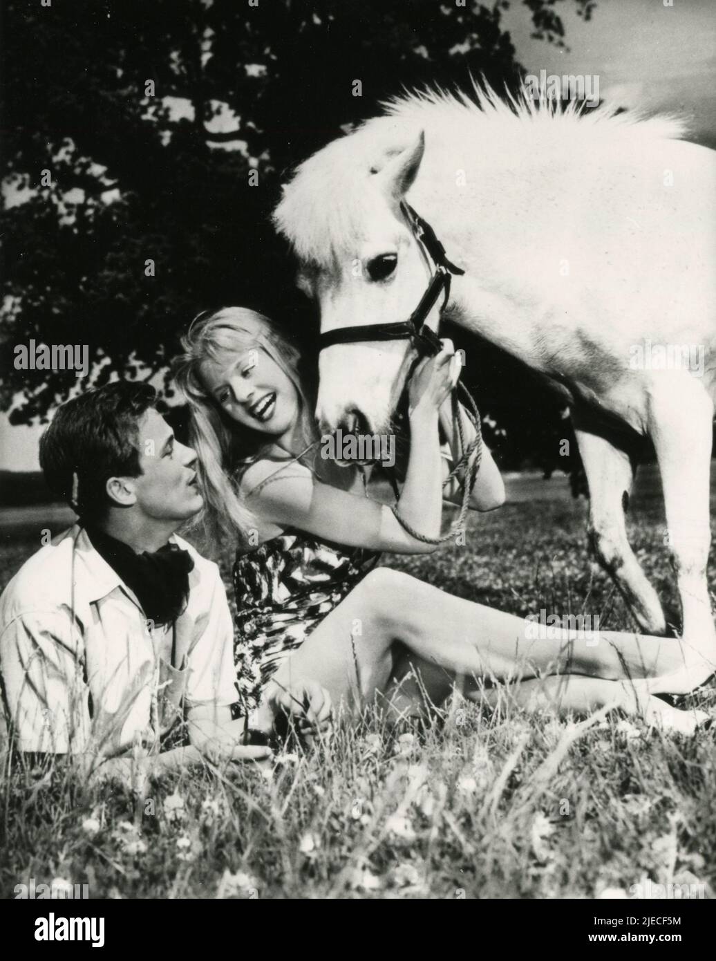 Heidi hi-res stock photography and images - Alamy