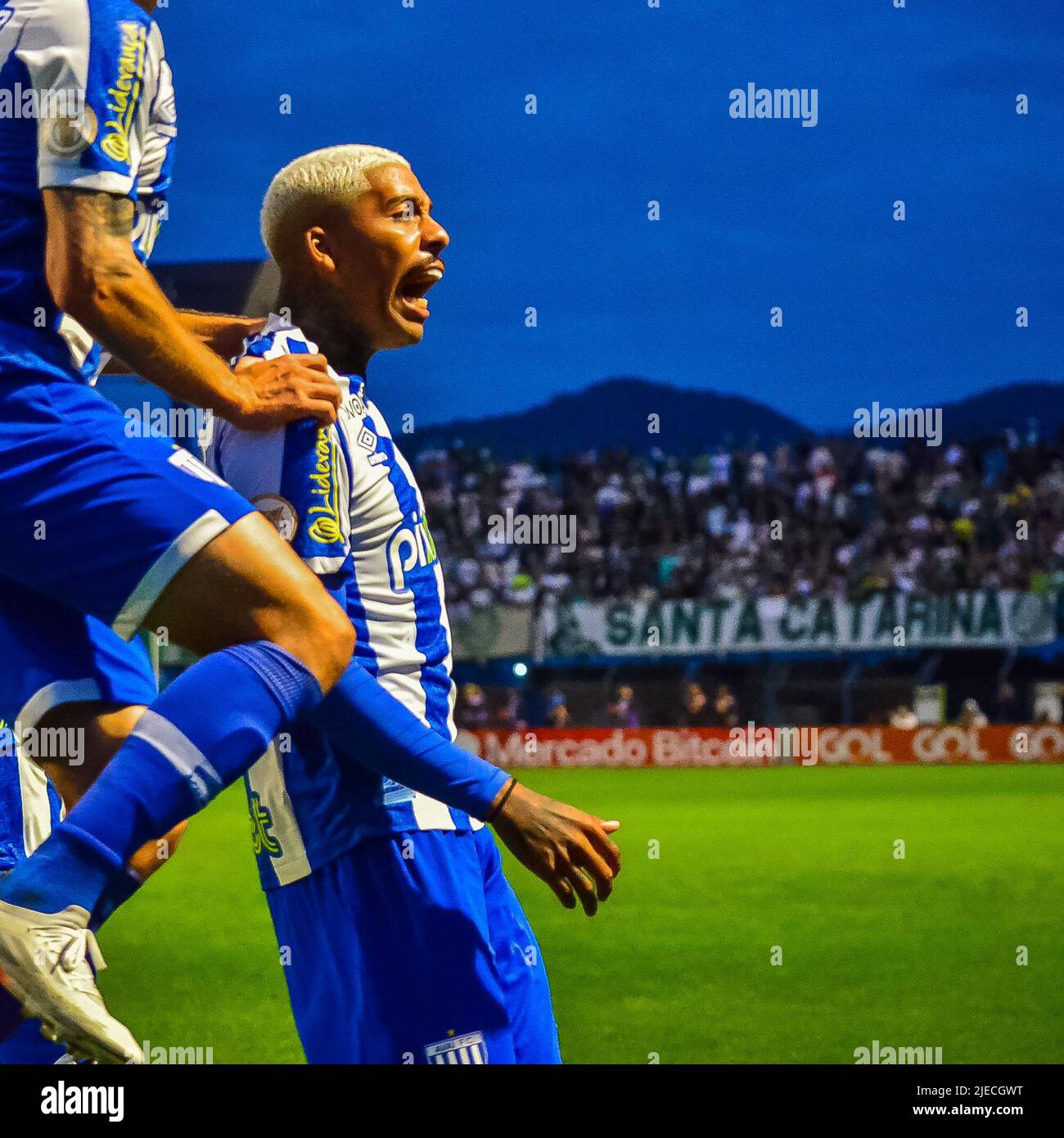 SC - Florianopolis - 06/26/2022 - BRAZILIAN A 2022 - AVAI X PALMEIRAS ...